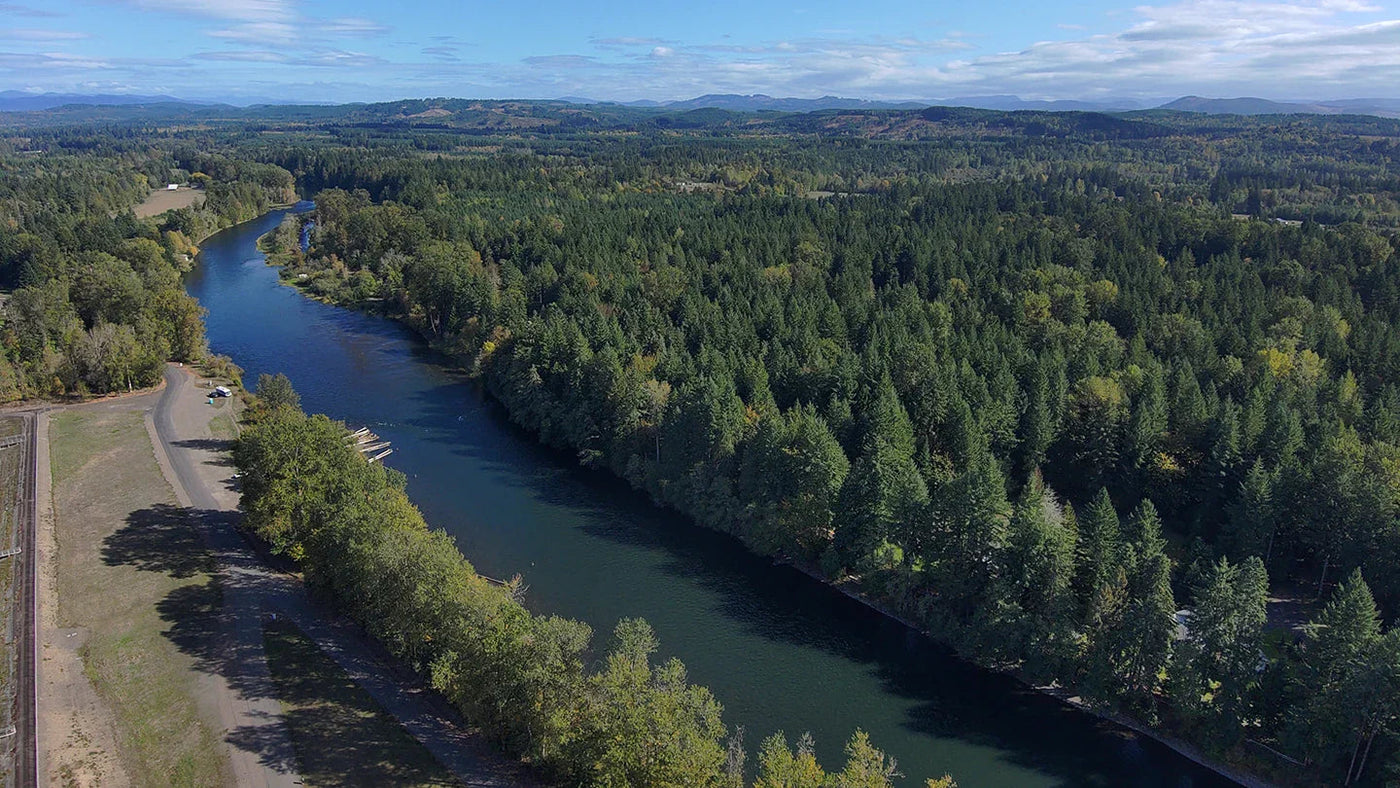 Cowlitz River Smelt Fishing One Day Opener on Feb 18th – Seattle ...