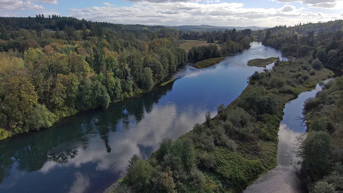 Cowlitz River Smelt Fishing Reopens Saturday February 21st – Seattle ...