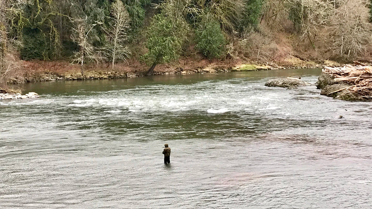 Snoqualmie River & Tokul Creek Steelhead Extended to March 1st ...