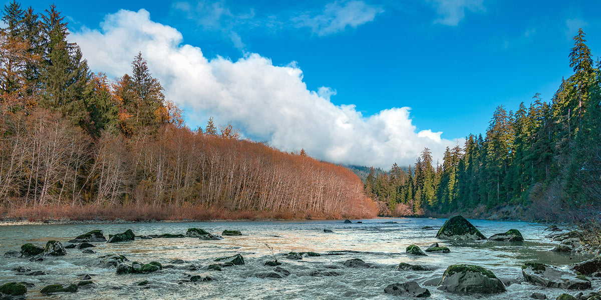 Our Complete Guide to Fishing the Queets River - Olympic Peninsula, Wa ...