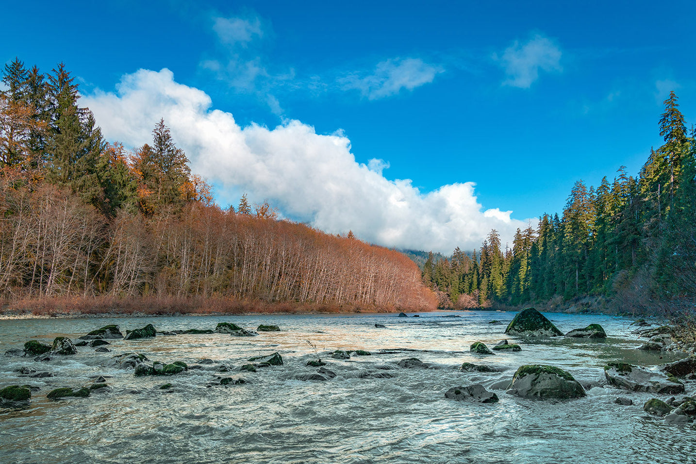 Our Complete Guide to Fishing the Queets River - Olympic Peninsula, Wa ...
