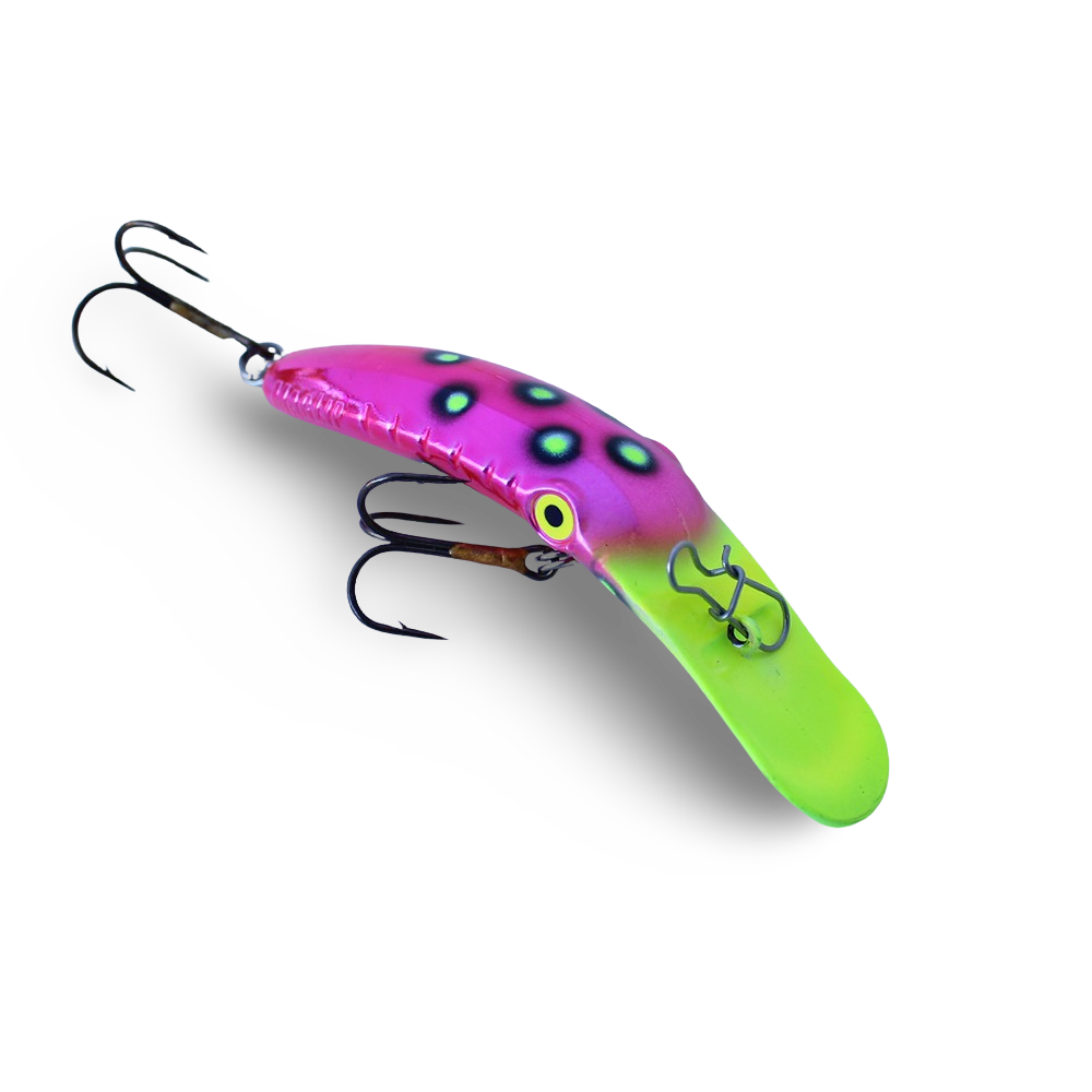 Steelhead – Seattle Fishing Company