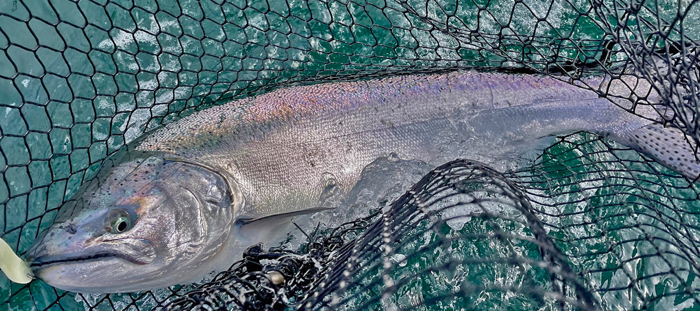 Seattle Fishing Company
