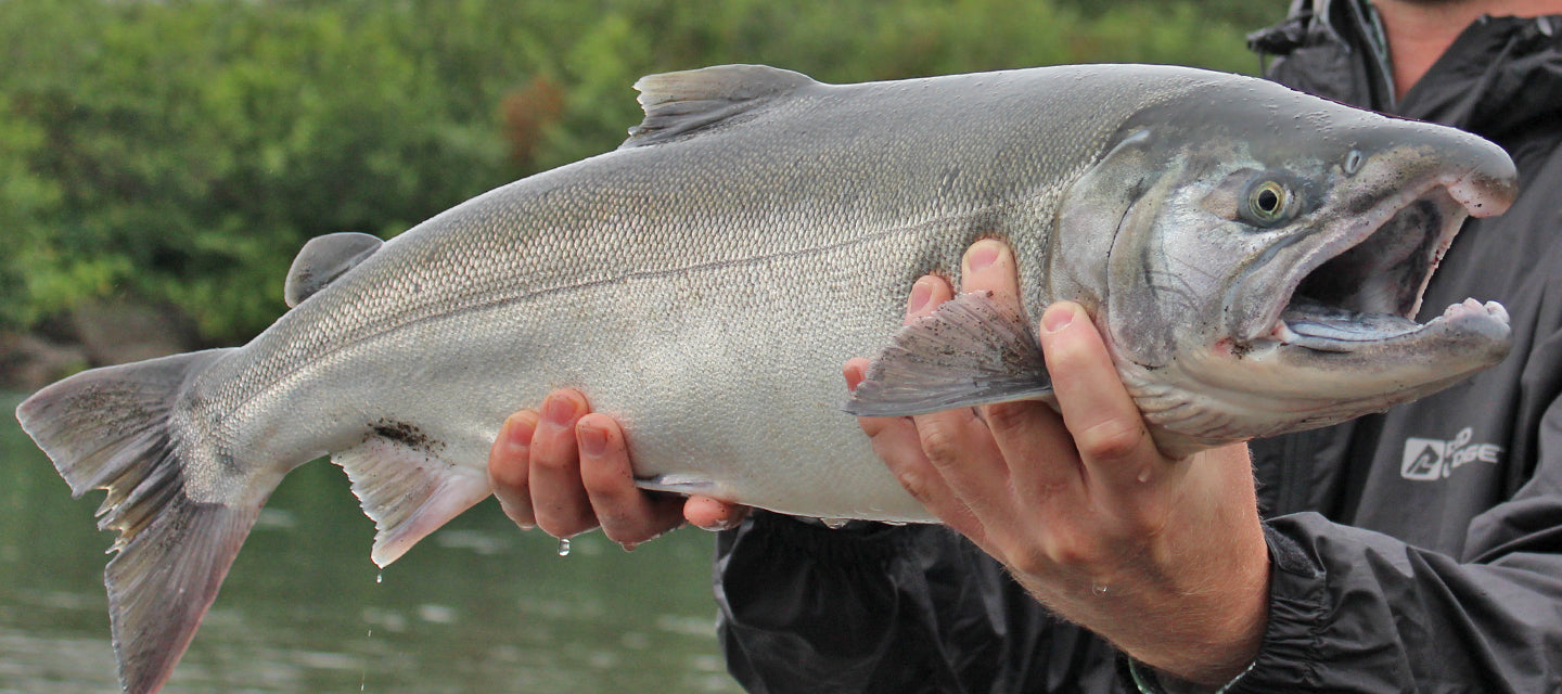 Seattle Fishing Company